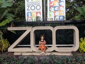 Washington DC with Kids: What to Do & Where to Go